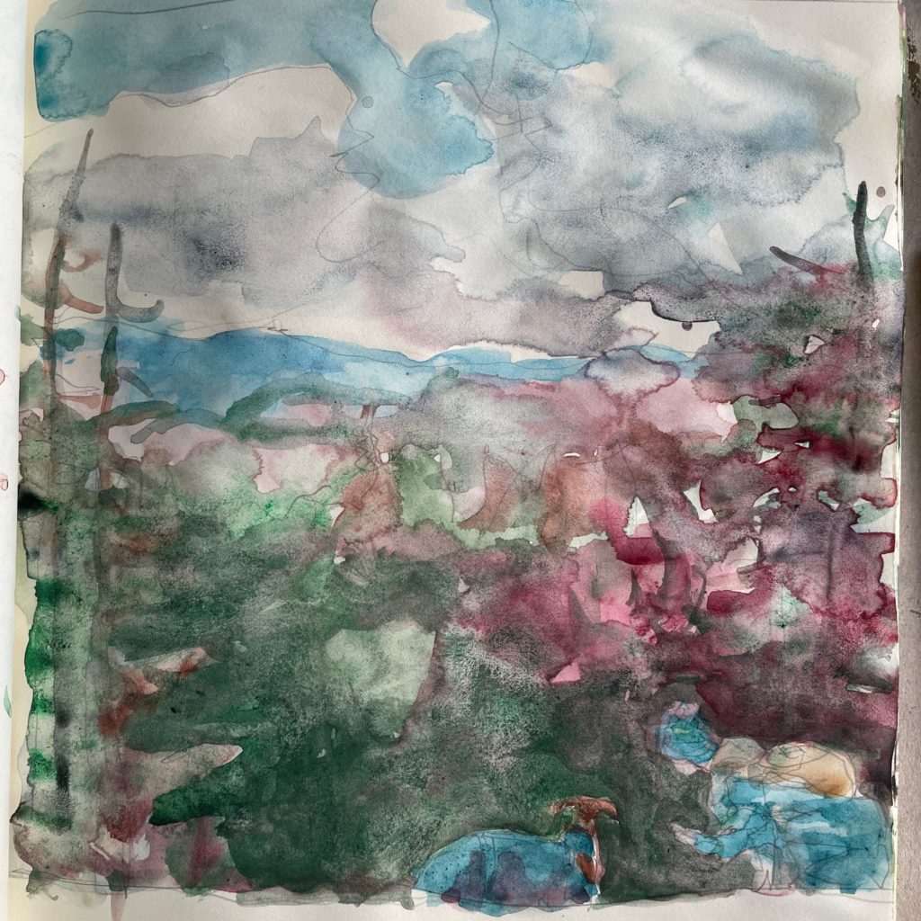 new work | Jane Wheeler